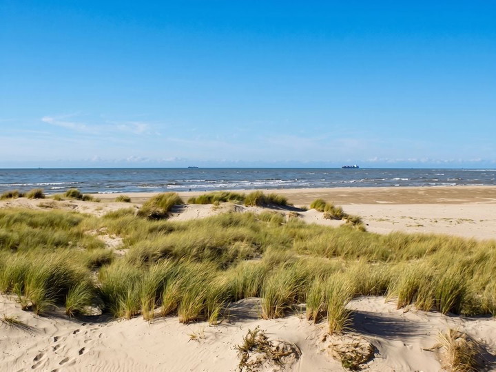 Camping Domaine De La Pinede - Le Touquet-Paris-Plage