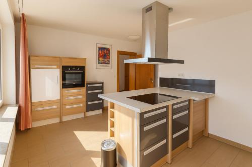 Villa Viktoria 3 - Apartments - Ingolstadt