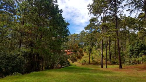 Cabanas Bosque Llano De La Virgen - La Esperanza
