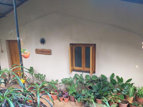 The Enchanting Nest - Goa