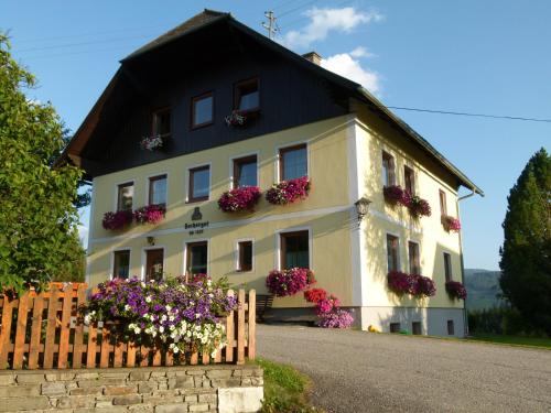 Ferienwohnungen Bachergut - Tamsweg