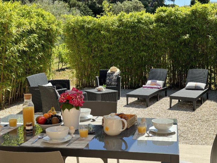 L’auguière Est, Maisonnette Sans Vis-à-vis Et Au Calme Avec Vue Sur Les Vignes - Var