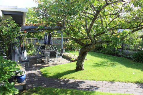 Popular Bird Area - Central Taupo - Lake Taupo