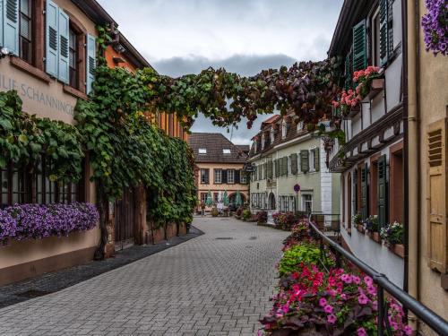 Hotel Zur Krone - Edesheim