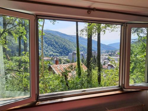 Tudor View Apartament - Sinaia