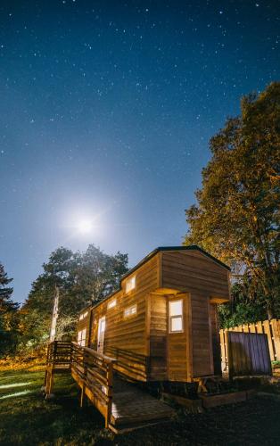 Umpqua's Last Resort - Wilderness Cabins, Rv Park & Glamping - 俄勒岡