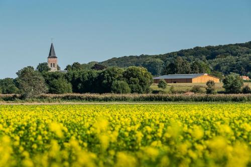 B&b Martinushoeve - Oudenaarde