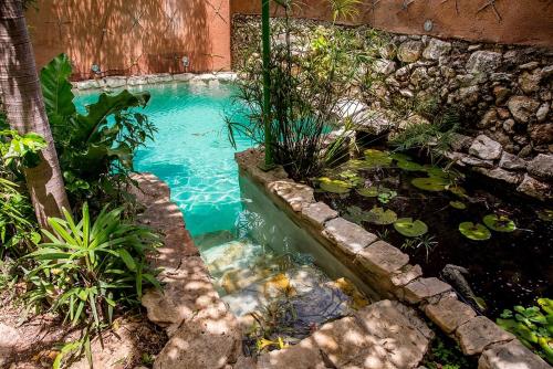 Serenidad Zen By Majikal B&b - Mérida