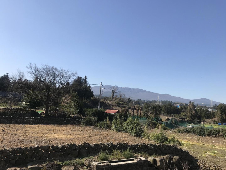 Terraced Resort Pension With Mountain View - Jeju-si