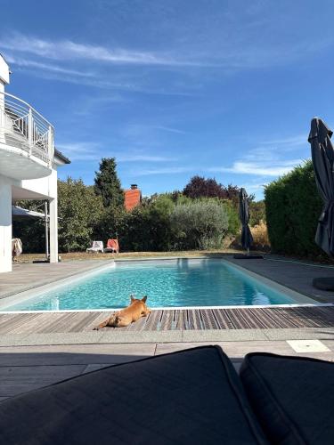 Buda Lodge 6 P B&b Suite Familiale Alsace Proximite Immediate Strasbourg - Strasbourg
