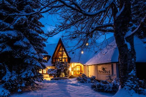 Landhaus Amselhof Hinterzarten - Titisee-Neustadt