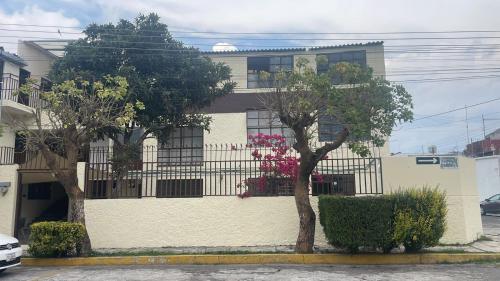 Moderna Habitacion Bano Privado Tv Pet Friendly - Puebla