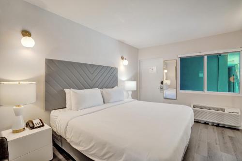 Ocean Blvd King Suite Hideaway - Fort Lauderdale