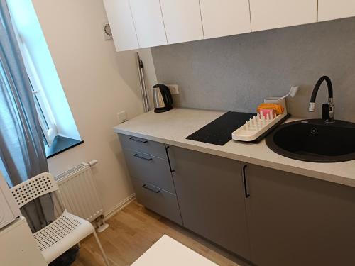 New Gray Apartment In The Center Of Riga - Riga, Latvia