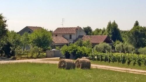 Il Giuggiolo - Conegliano