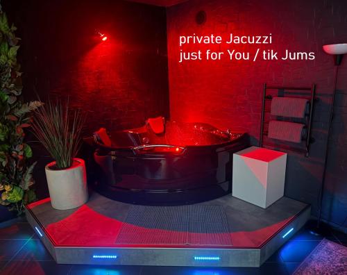 Jacuzzi Cinema Loft - Kaunas