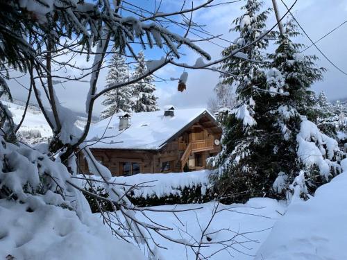 Chalet Familial Fleurs Des Bois - Rochebrune - Megève