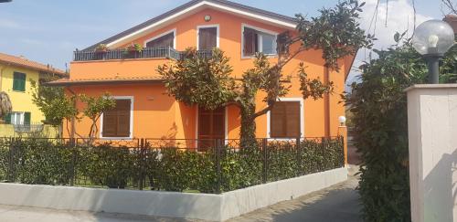 New Life - Carrara