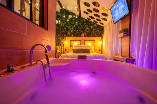 Love Room Romantique Les Petits Plaisirs - Angers