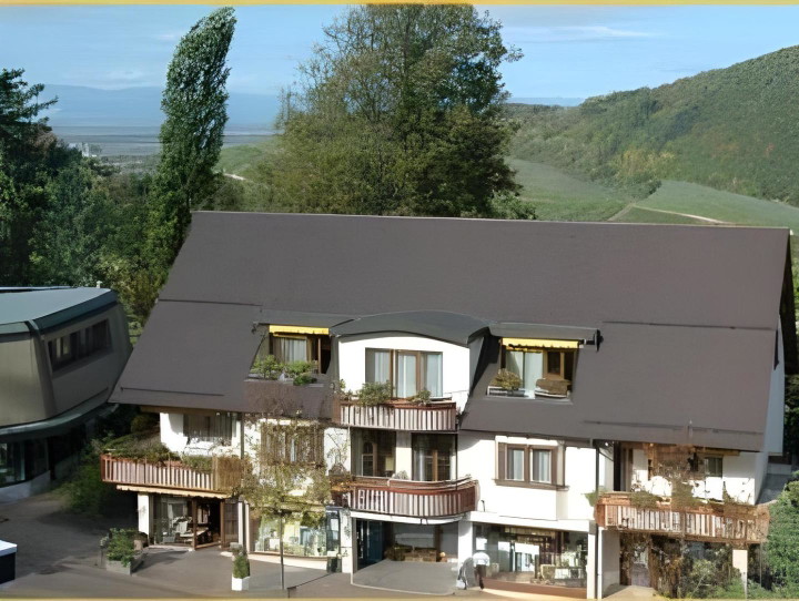 Park Appartements - Badenweiler