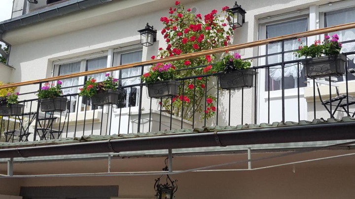 Les Iris Chambres D’hote - Turckheim