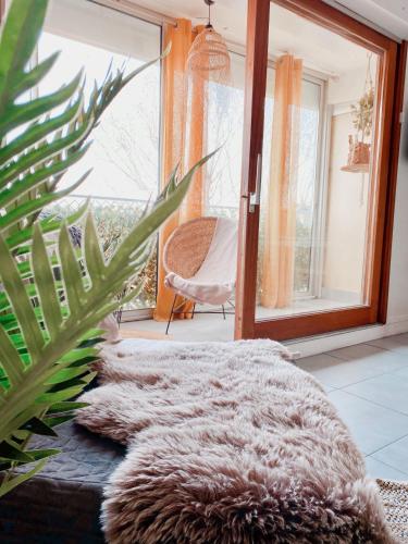 Appartement Coup De Coeur Avec Parking Et Piscine - 131 - Canet-en-Roussillon