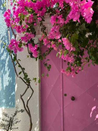 Casa Magnolia Boutique Rooms - クシャダス