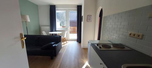Familienapartments Wildemann - Harz