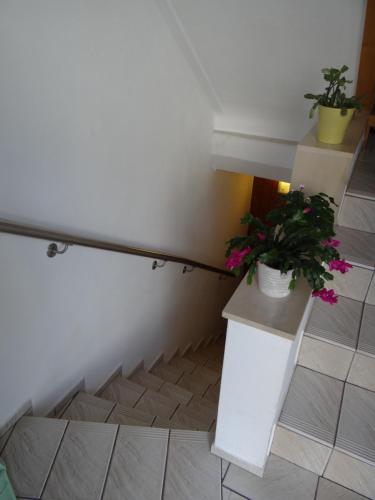 Ferienwohnung Alsbach - Saarbrücken