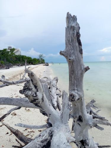 Mi Habitat Holbox-maravilla Natural - Isla Holbox