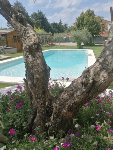 L'atelier De Guytou Et Spa - Cavaillon