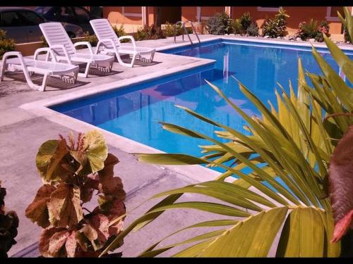 Apartahotel Next Nivel - Queen Room With Ac - Punta Cana
