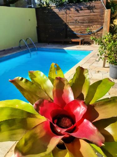 Pousadarecanto684guaruja - Guarujá