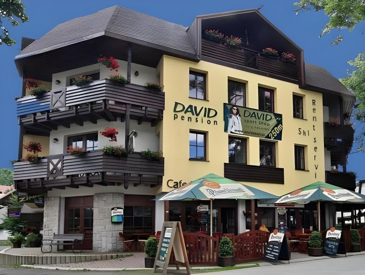 David Wellnes Hotel Harrachov - Szklarska Poręba