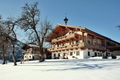 Apartment Wachinghof - Kirchberg