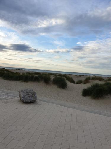 Appartement Malo Les Bains Plage - Dunkerque