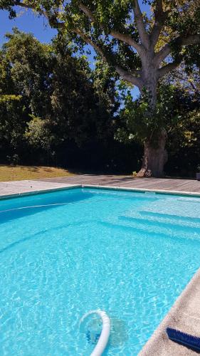 Bloom Guest House - Cape Town