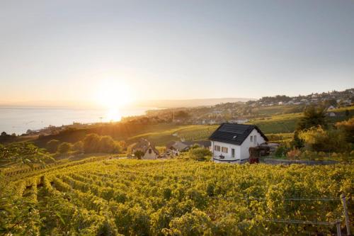 #Lavaux - Lausanne