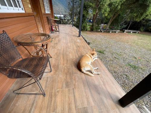 Go Bill B&b - Alishan Township