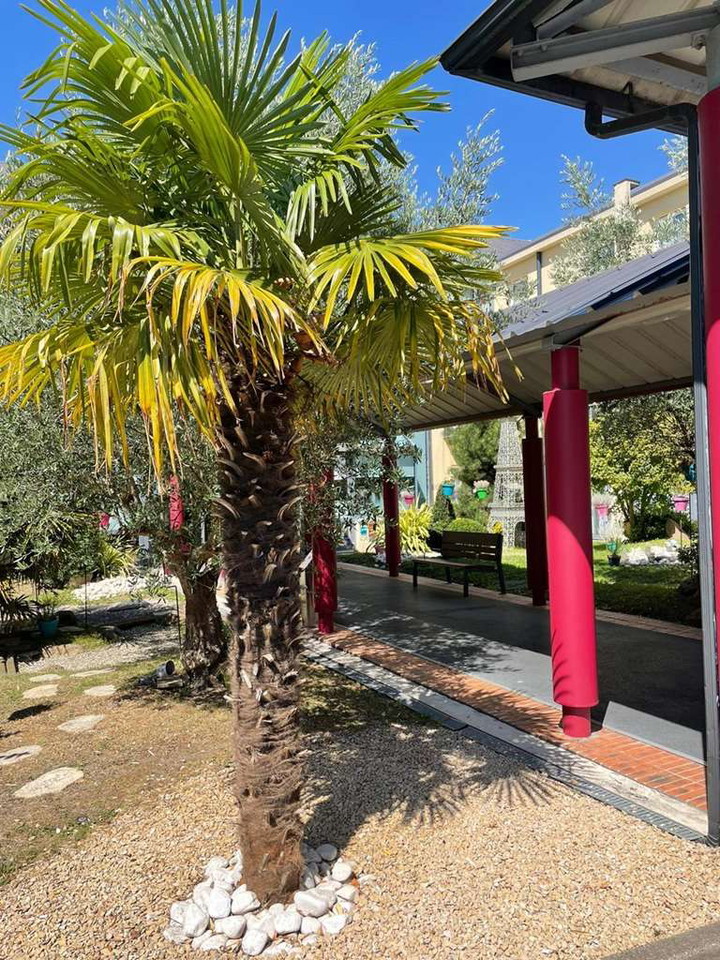 Four Points By Sheraton Paris Charles De Gaulle Airport - Roissy-en-France