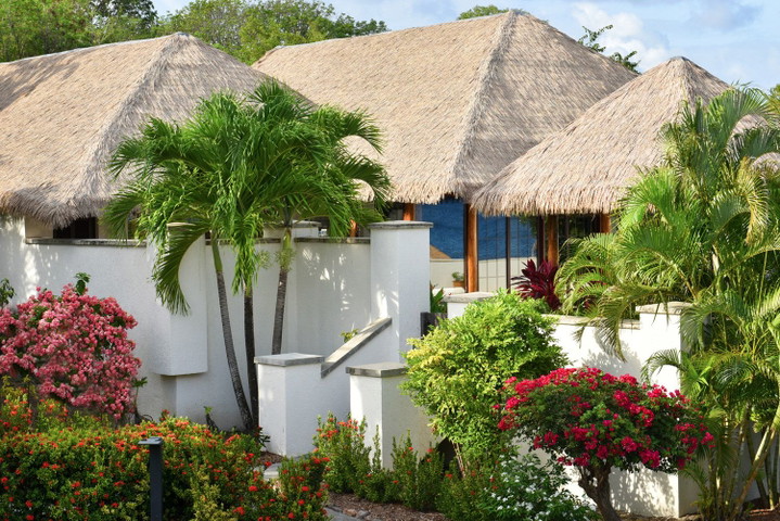 Paradise Beach Nevis - Saint Kitts and Nevis