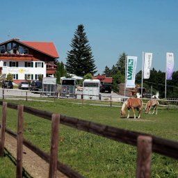 Haflingerhof Landhotel - Roßhaupten