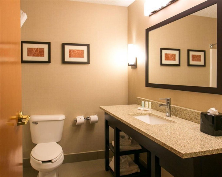 Comfort Suites Benton Harbor - St. Joseph - Berrien Springs, MI