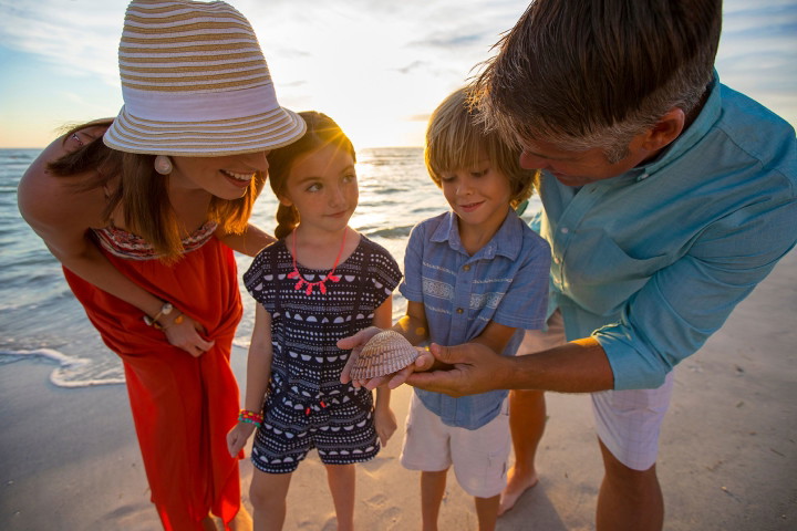 Rumfish Beach At Tradewinds Sandpiper Beach Resort - St. Petersburg, FL