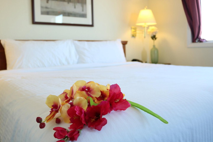 Nomad Hotel And Suites - Fort McMurray