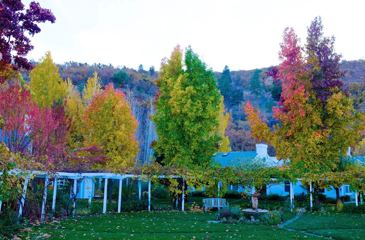 Lithia Springs Resort - 俄勒岡