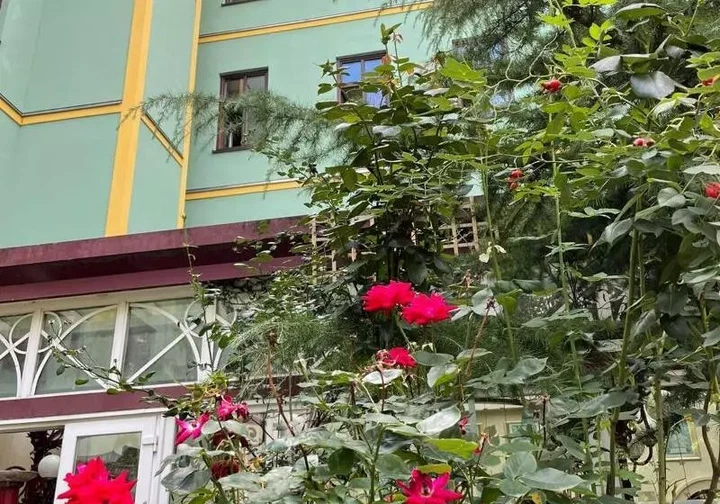 Hotel Viktoria Vienna - Vienna