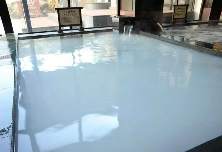 Hôtel Nara Plaza - Japan