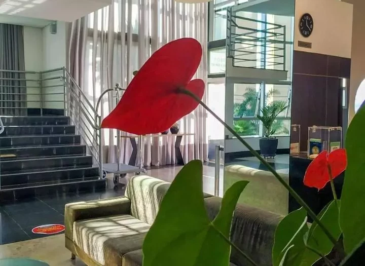 Hôtel Piemonte - Belo Horizonte