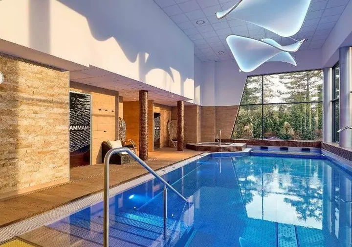 Hôtel Mercure Bale Mulhouse Aeroport - Bartenheim